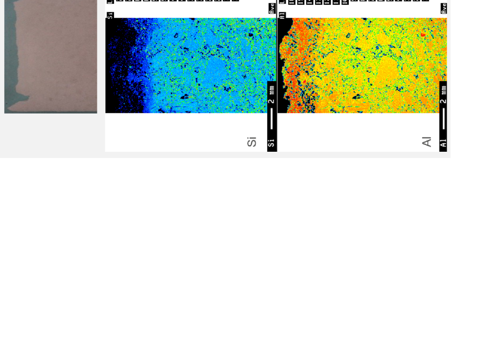 Refractory choice support | Project